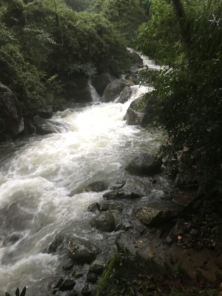 Kandy und Ramboda Falls